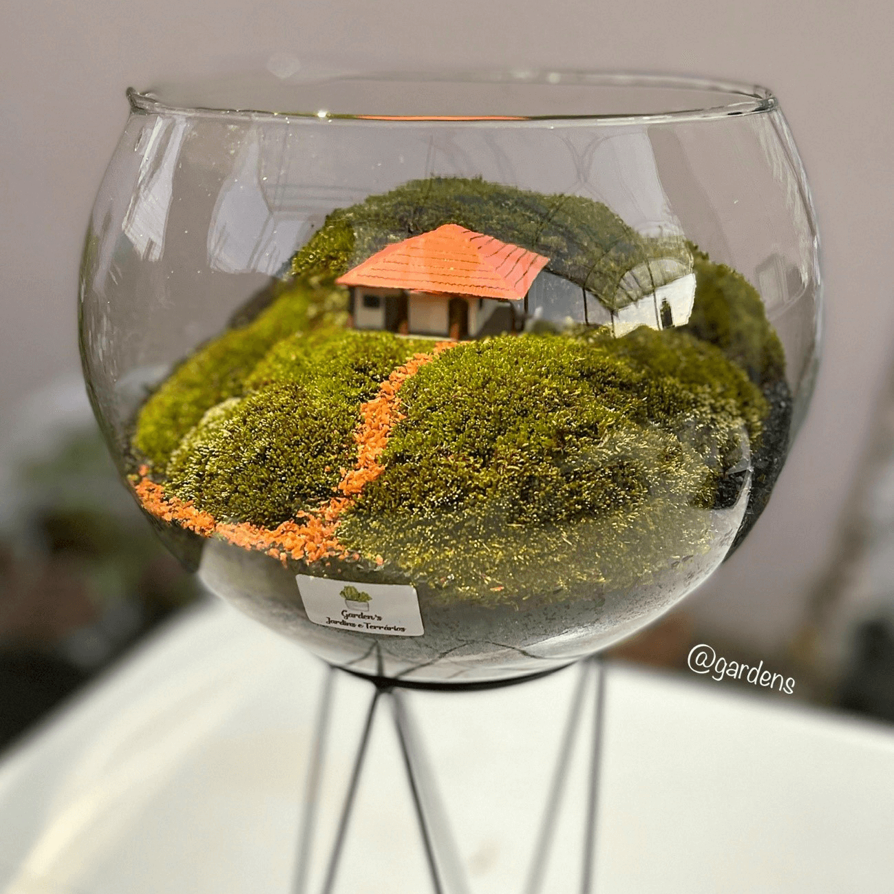 Curso de Mini Mundo – Mini Mundos